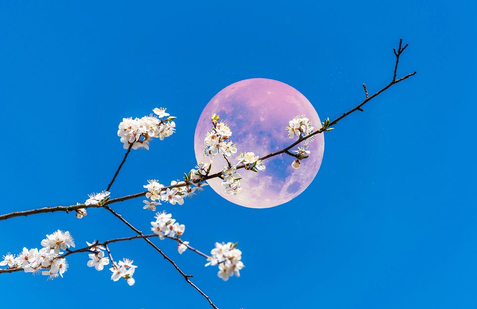 Next full moon 2026 calendar dates