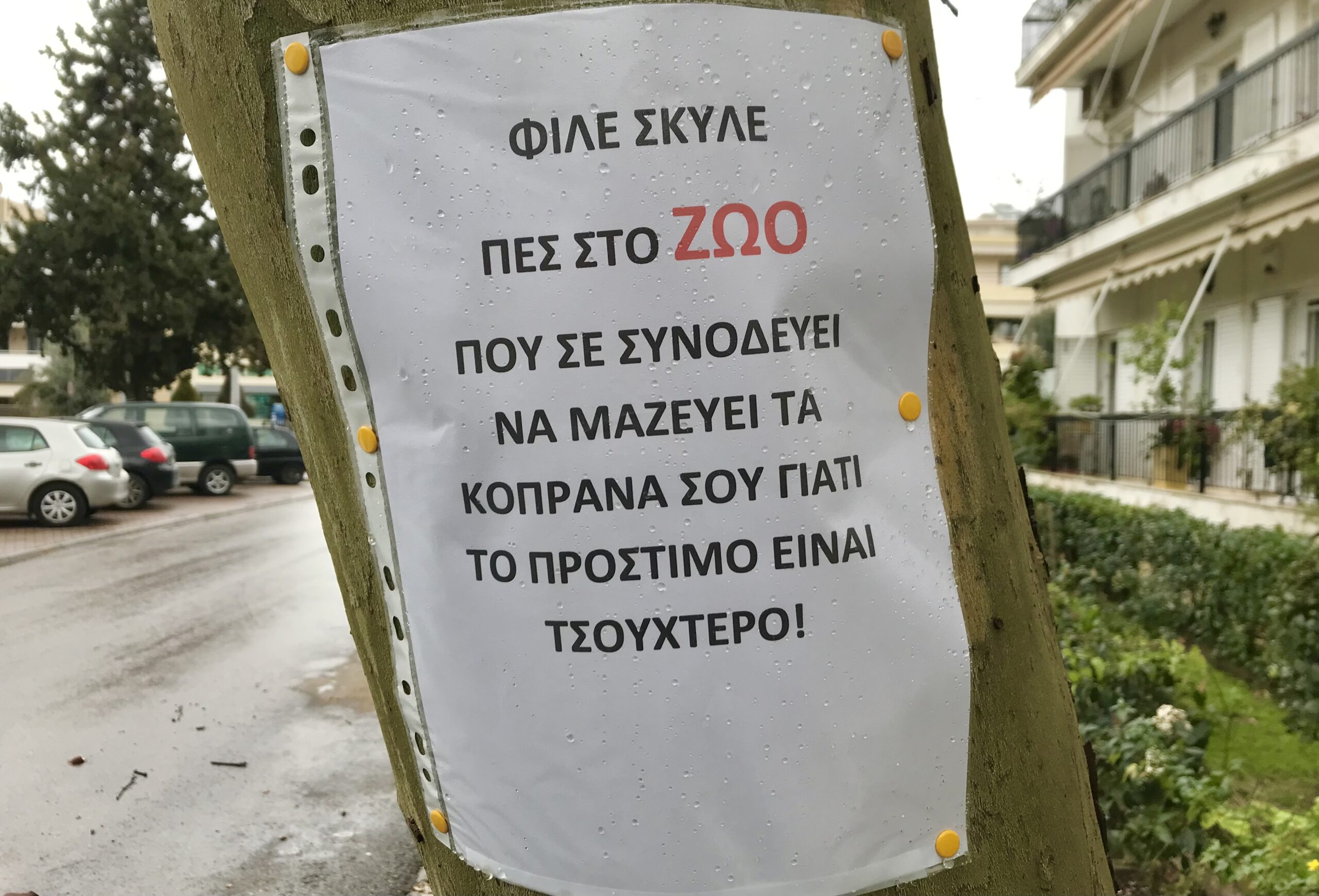 Ο αστικός πολιτισμός του είδους των ανθρώπων και η «φωνή» στα ζώα