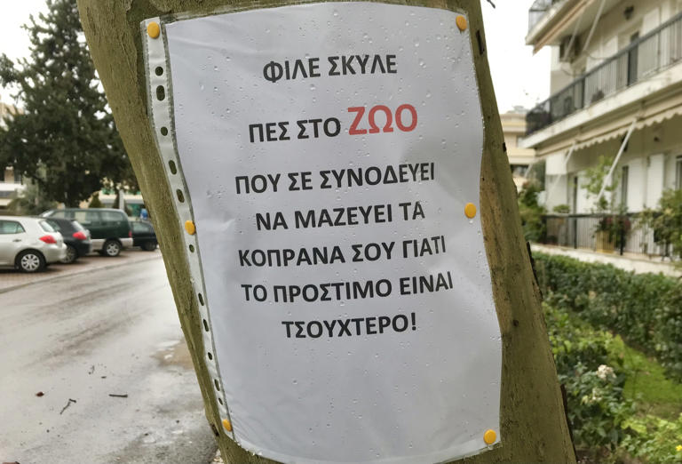Ο αστικός πολιτισμός του είδους των ανθρώπων και η «φωνή» στα ζώα