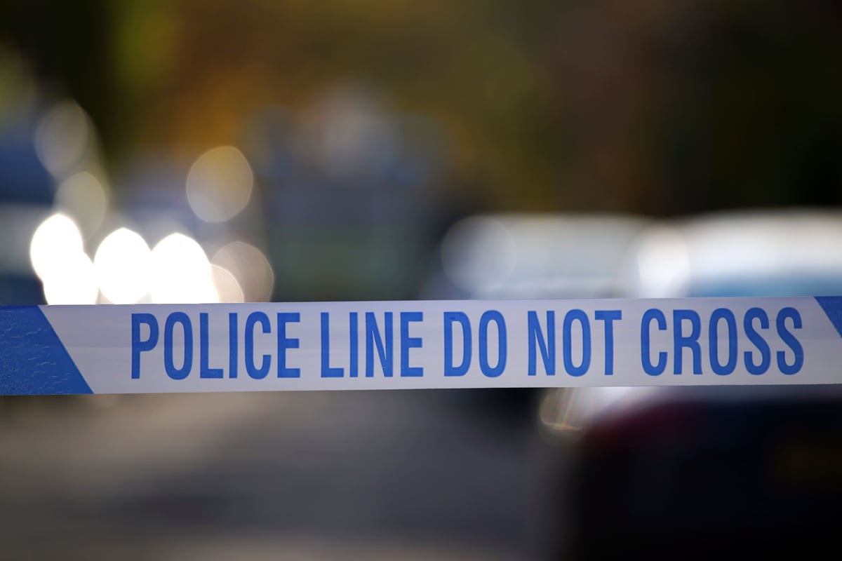 London bus driver fighting for life after assault on Battersea Bridge