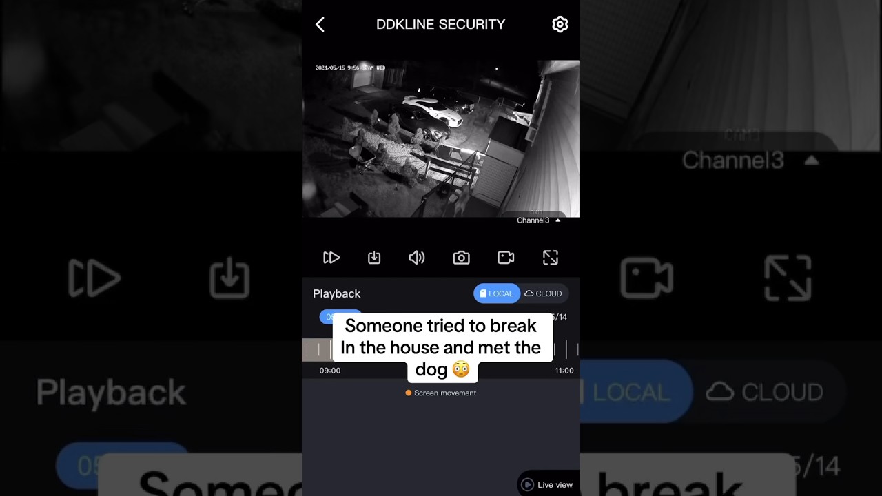 A home intruder meets a giant pitbull at the door