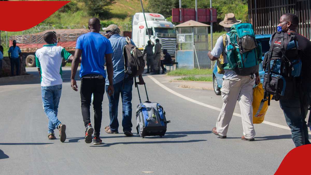 Denmark suspends work permits for Kenyans, Ugandans and Tanzanians due ...
