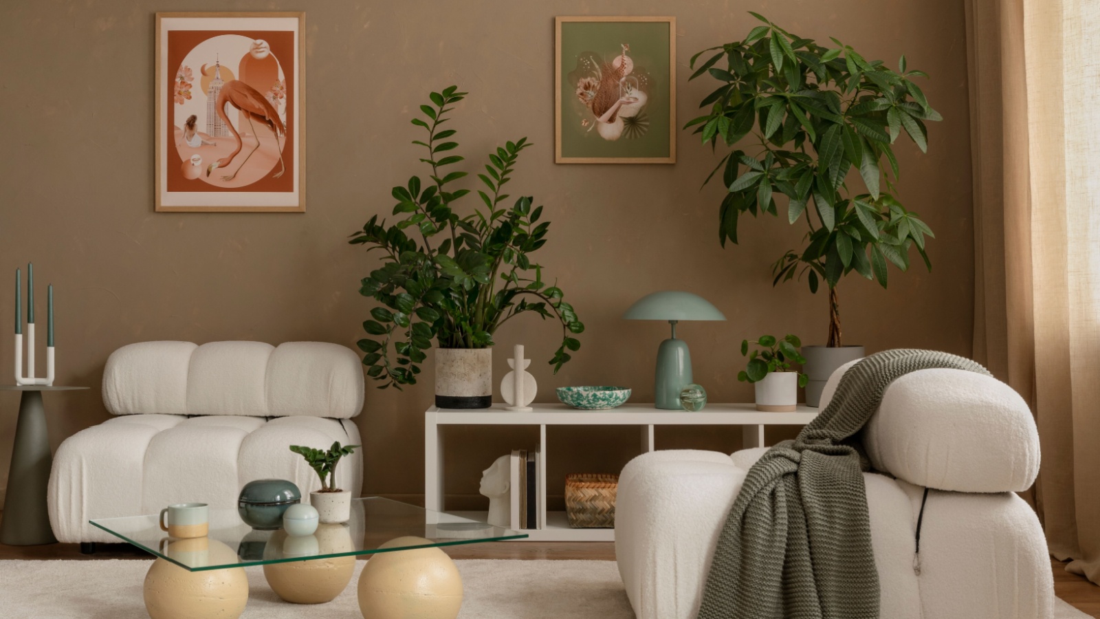 The mood-boosting plants that make your home feel genuinely different