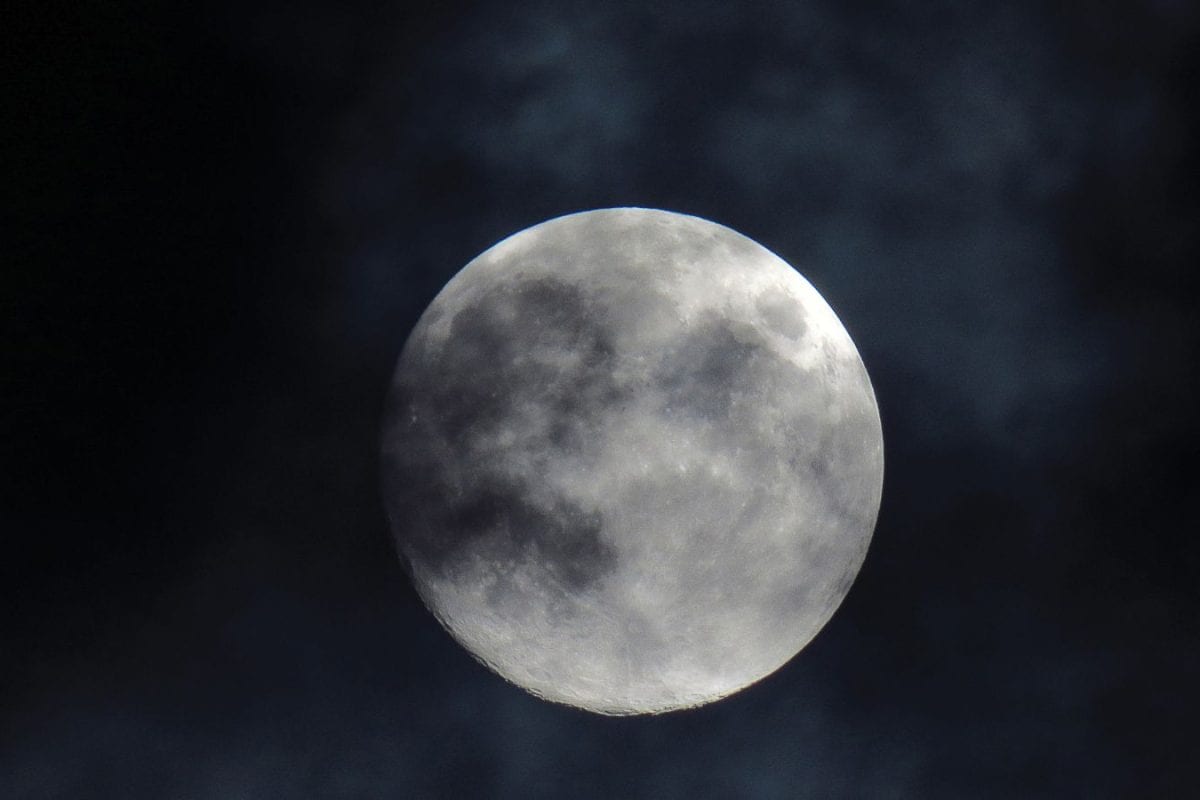 The man who sold the moon before anyone could stop him