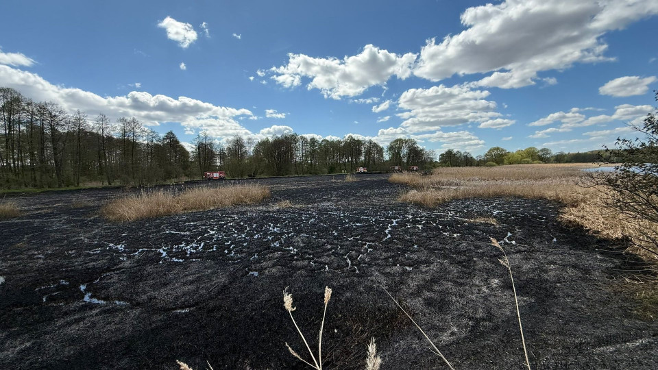Pożar w gminie Szczytniki. W akcji 6 zastępów straży pożarnej. Zdjęcia
