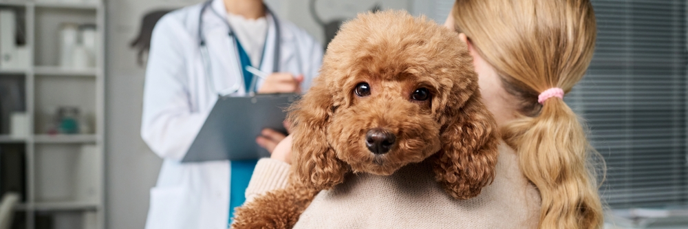 18 jobs for people who like animals that are still hiring in 2026