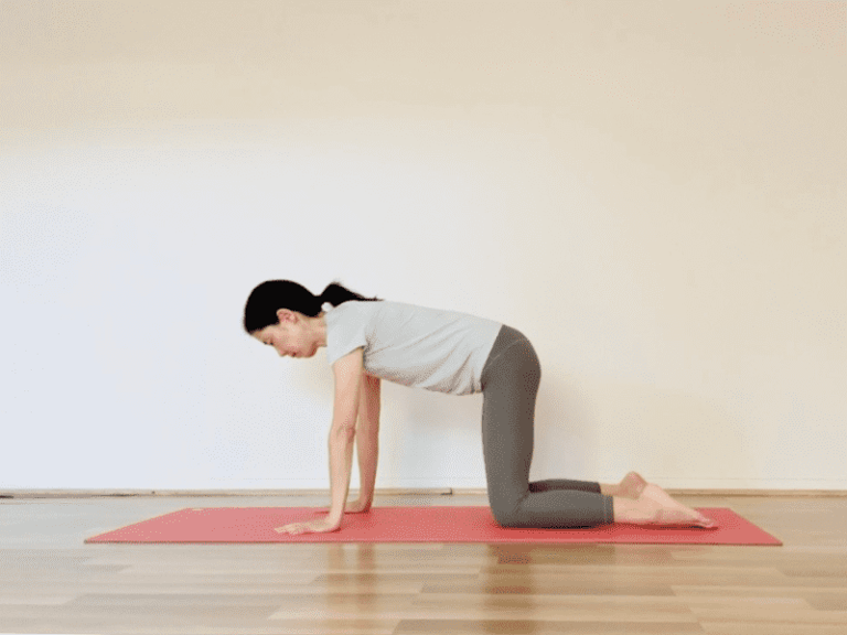 たった5秒キープすればOK!【腰痛対策】腰を守るための体幹トレーニング