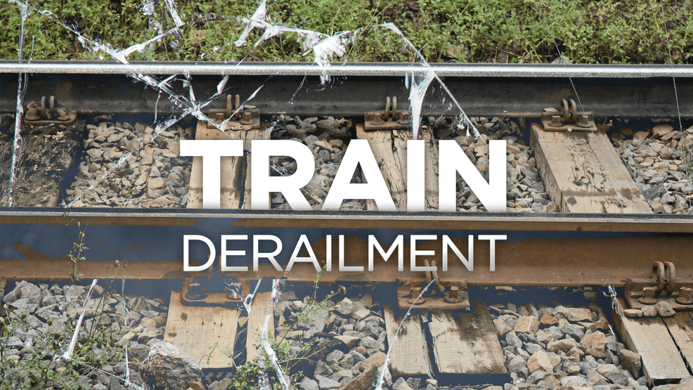 Train carrying soybean oil derails near West Virginia-Virginia state ...
