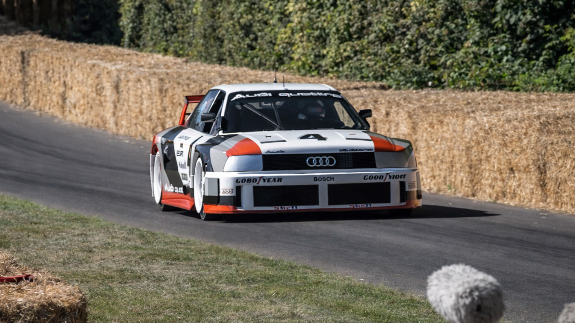 Audi Quattro race car on the circuit with high performance
