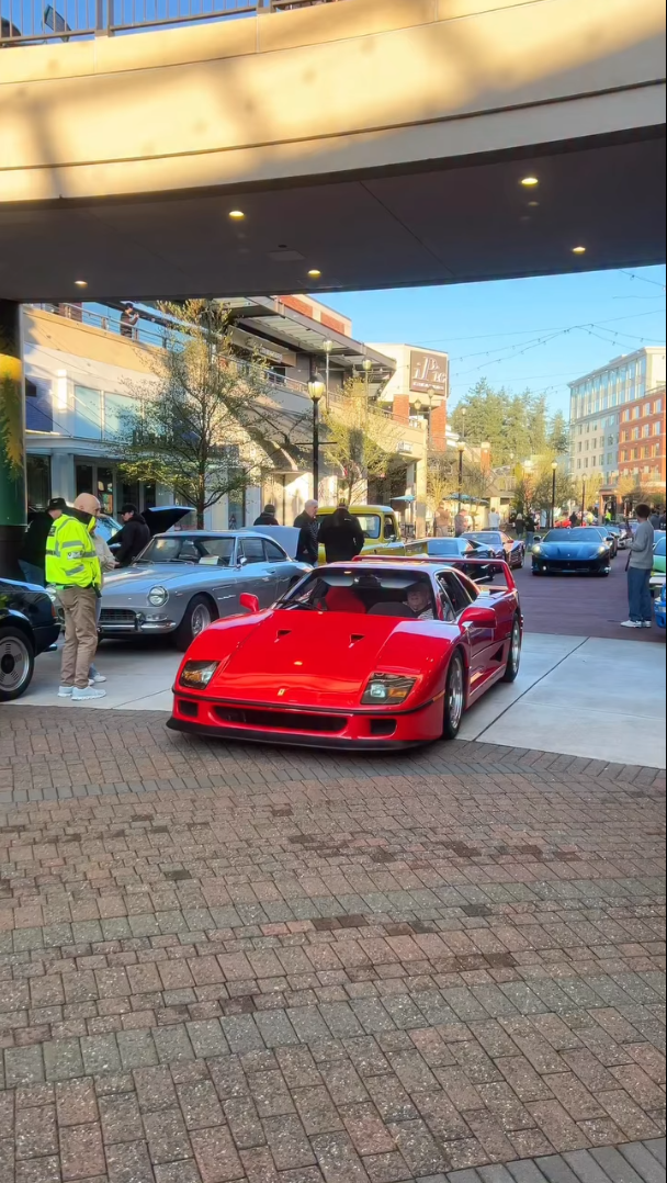 Ferrari dreams at the car meet with a Whole Lotta Red vibe