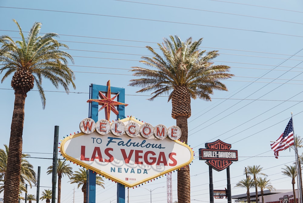 Images Of 13 Iconic Neon Signs Glowing in the U.s.