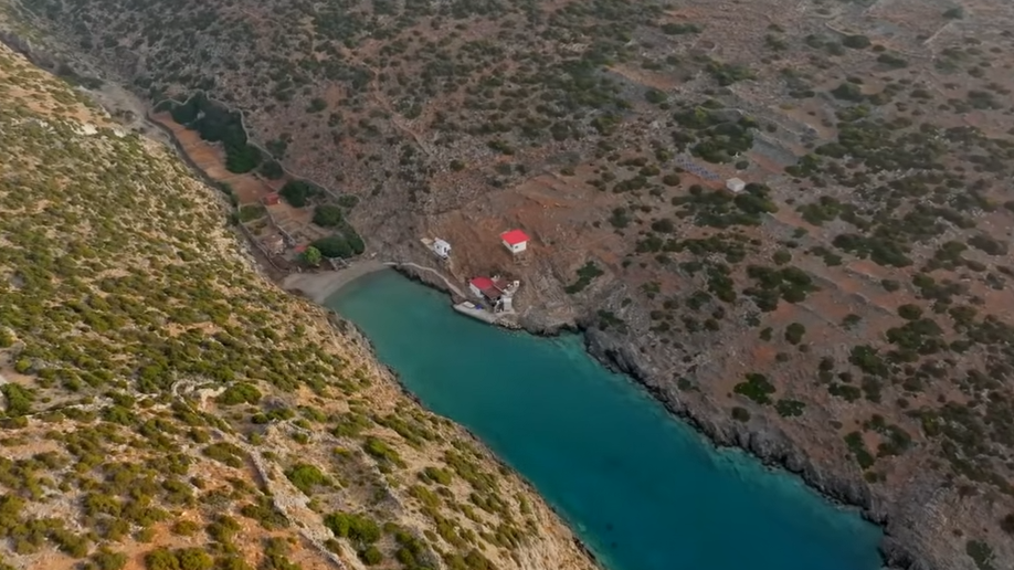 A 22-year-old vanished into the forest for 4 years - then they found ...