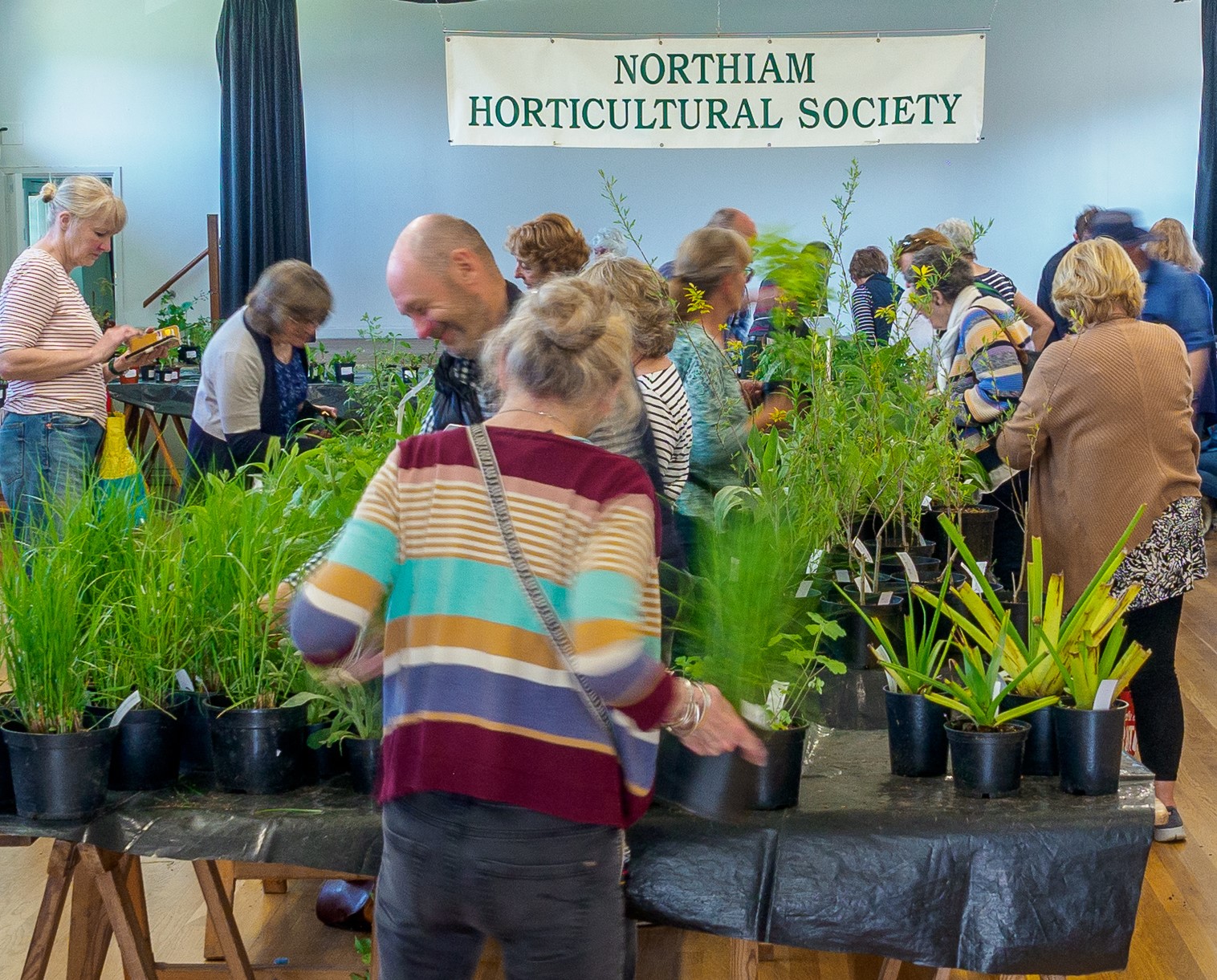 Northiam Village Voice