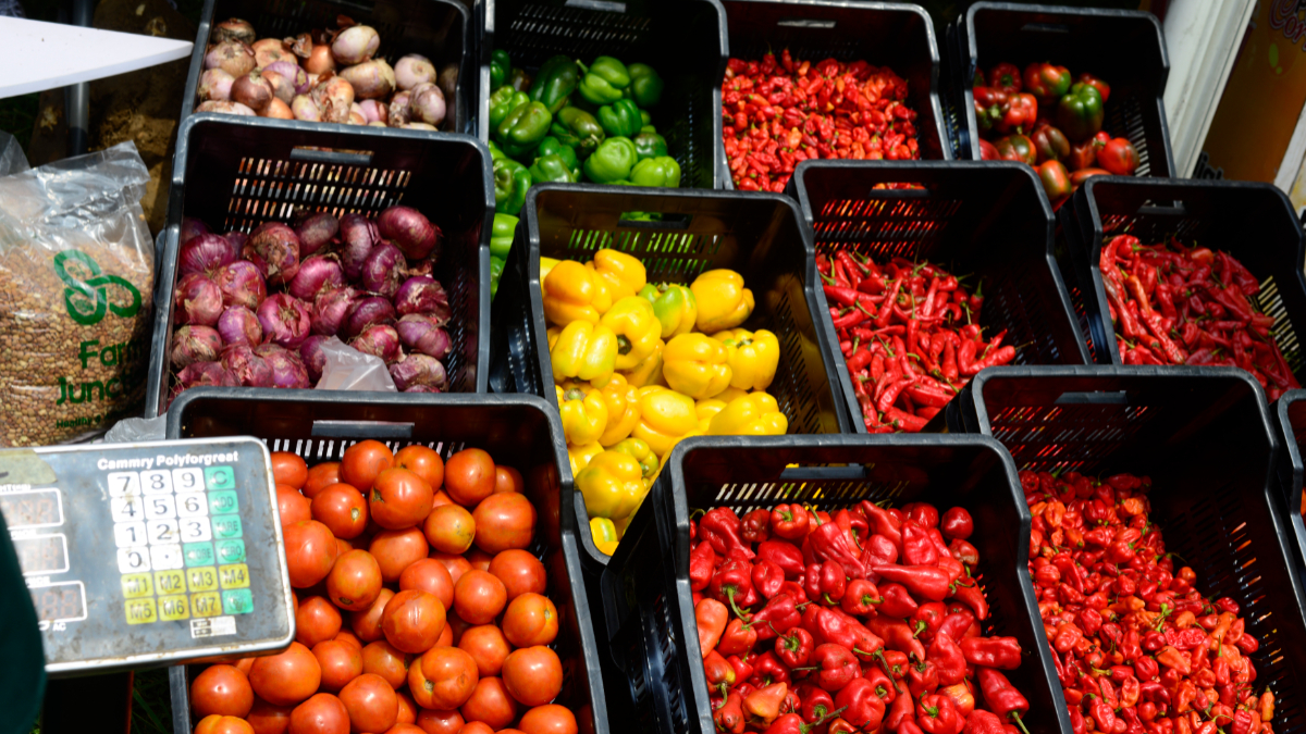 Middle East conflict tightens fertiliser exports as Africa’s food ...