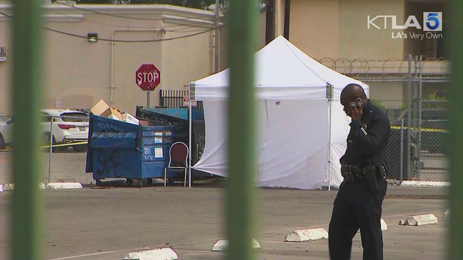 Autopsy reveals extreme violence in murder of boy, 5, found in LA dumpster