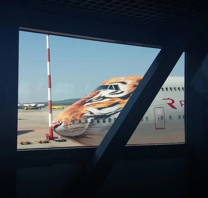 12 airport stories that prove laughter and surprises make the best ...