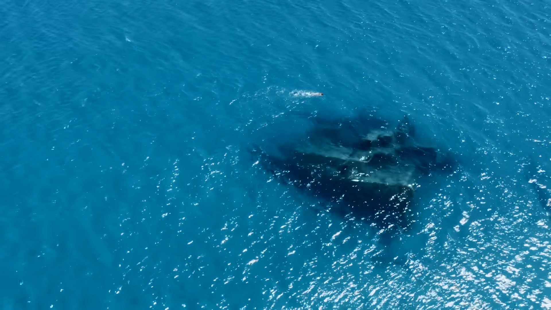 20 planes and 50 ships vanished in the Bermuda Triangle - now ...
