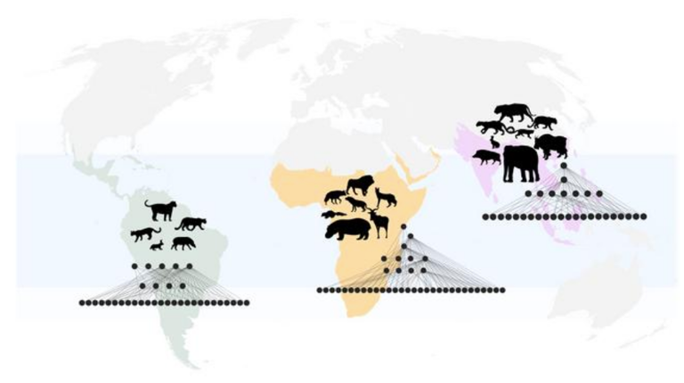 How extinction of giant ice age beasts could still affect food chains
