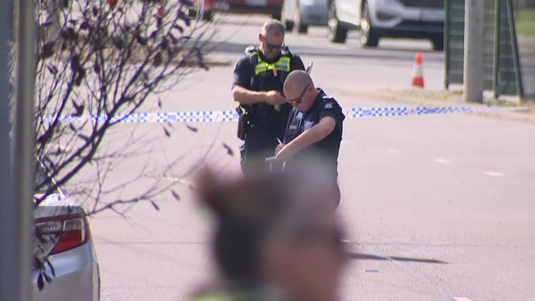 Pedestrian fighting for life after being struck by car suspected of ...