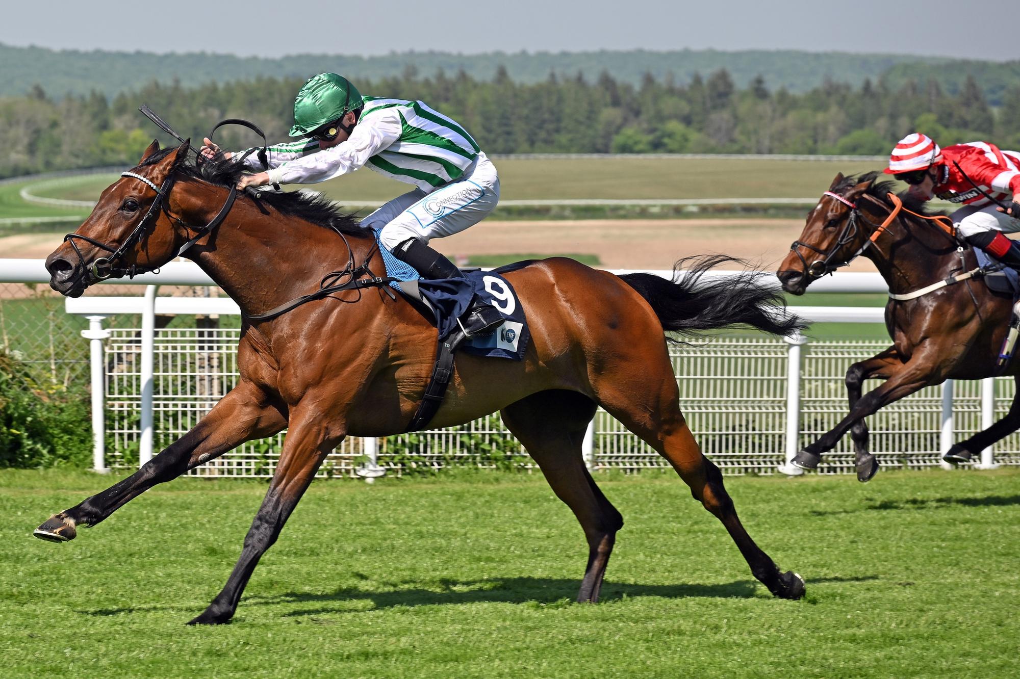 Top-class contests on cards as Goodwood welcomes back race-goers