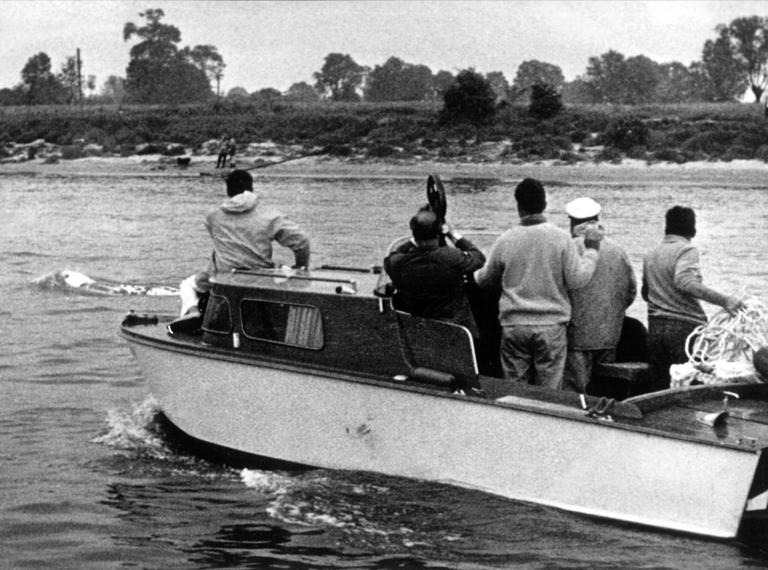 Meeressäuger auf Abwegen: Vor 60 Jahren schwamm ein Belugawal im Rhein