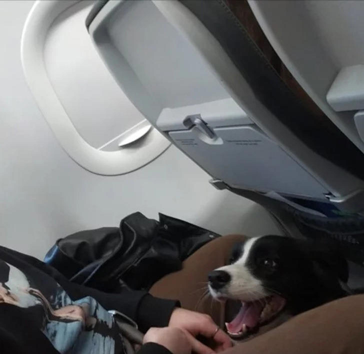 12 airport stories that prove laughter and surprises make the best ...