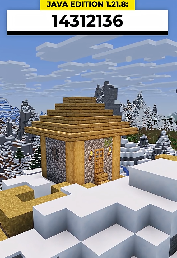 Minecraft mountain village house seed | Java Edition rare generation