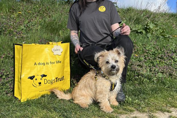 Rescue terrier Cedric finds forever home thanks to generous lottery players