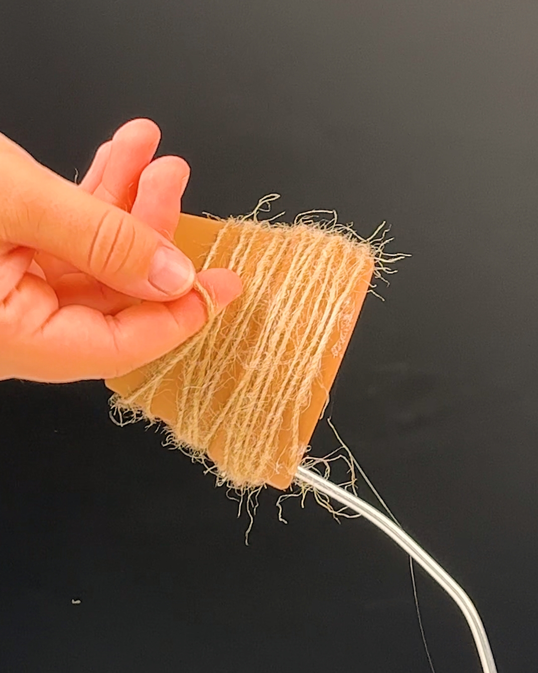 Convierte las plantas en arte flotante🪴💫