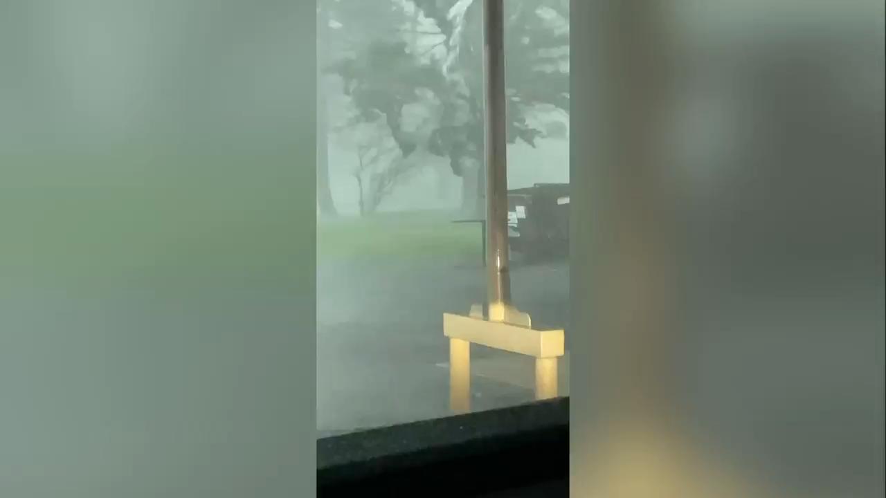 Footage shows trees uprooted after a tornado hit a village in Illinois