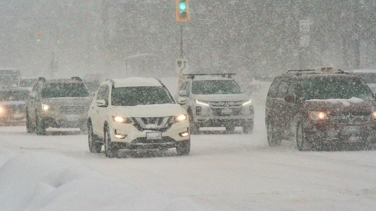 Winter storm warning issued for 24 inches of snow, late-season blizzard