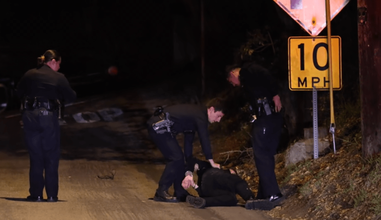 ‘Suite Life of Zack & Cody’ actor Dylan Sprouse tackles trespasser at ...