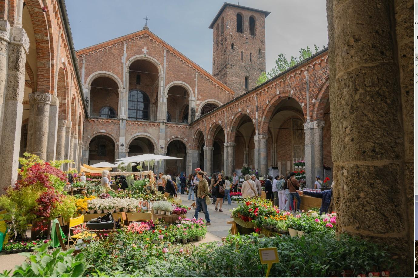 Flora et Decora 2026: in piazza Sant’Ambrogio torna la festa della ...