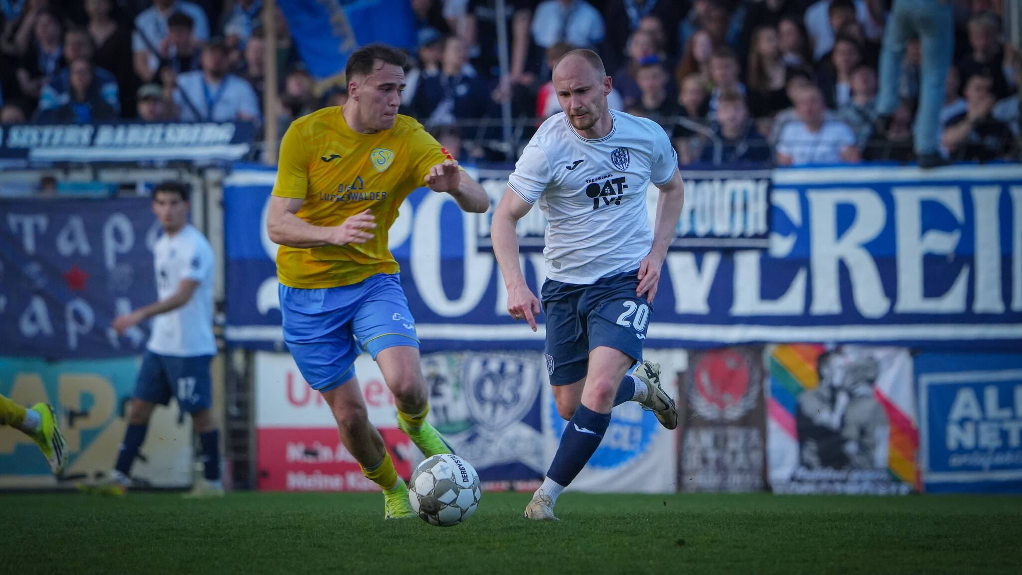 SV Babelsberg 03: Braune bringt Gollnack mit - Covic elfter Abgang
