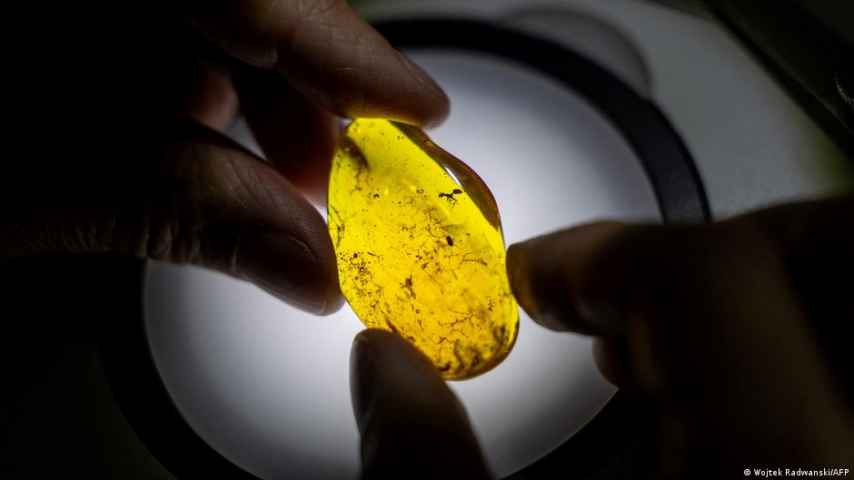 Polish amber: Fossilized tree resin is back in style