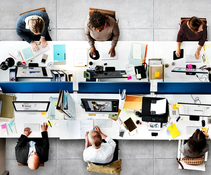 Employee questions if their cubicle decorations are too much