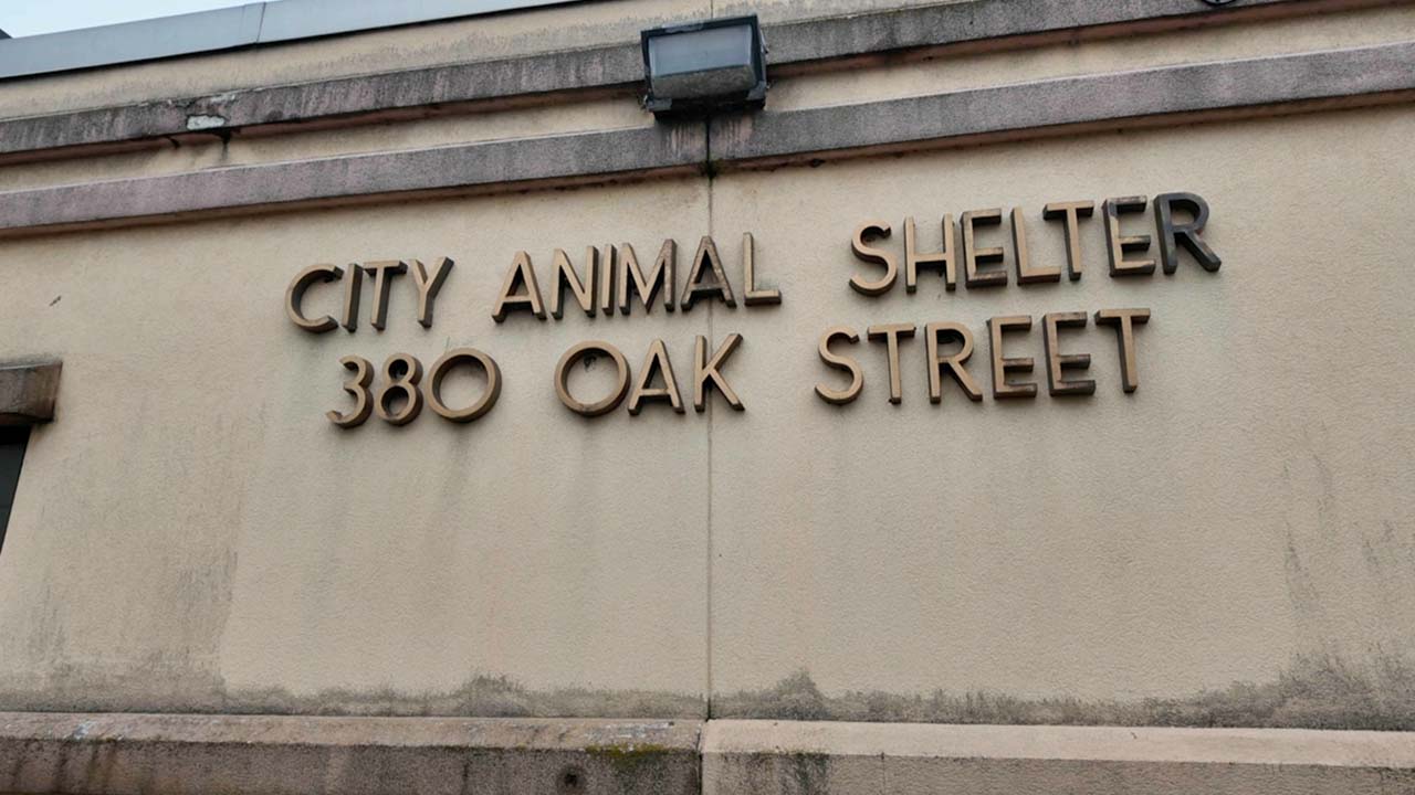'A top priority:' Deputy mayor says Ryan administration will still fund ...