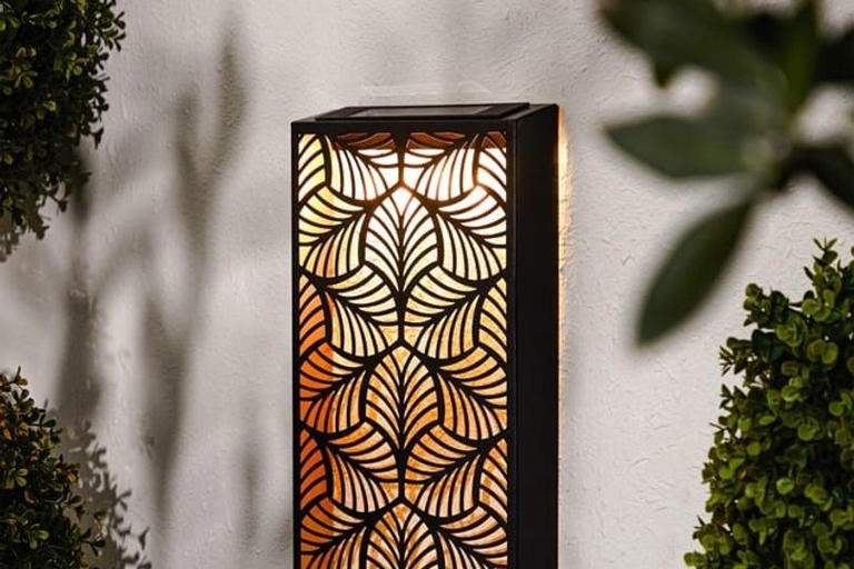 Home Bargains £5 light up wall art features a 'charming' design for gardens