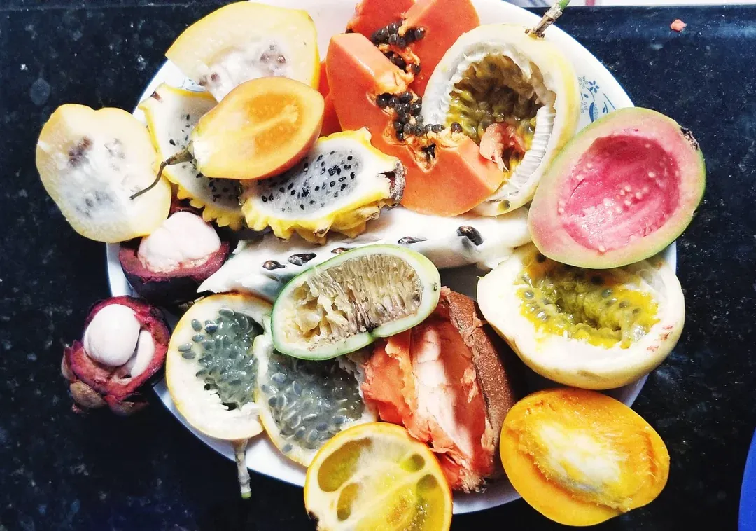 30 people share the countries and states with the best fruits and ...