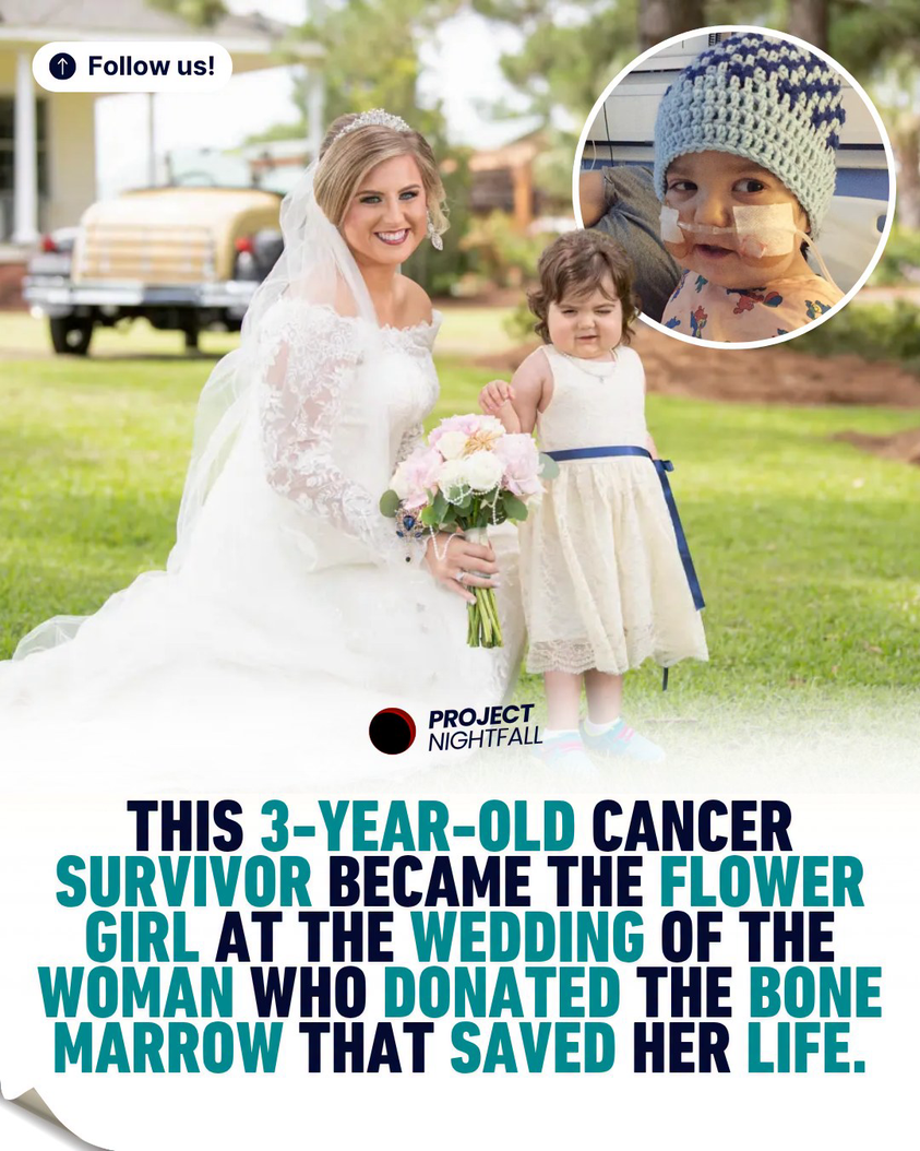 Given 10% chance, she's now her bone marrow donor's flower girl