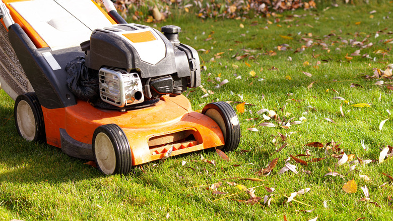 5 Home Depot tools you'll want for your next yard project