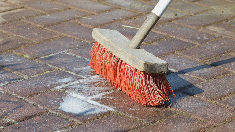 Stop birds from pooping on your patio — these 7 proven hacks actually work