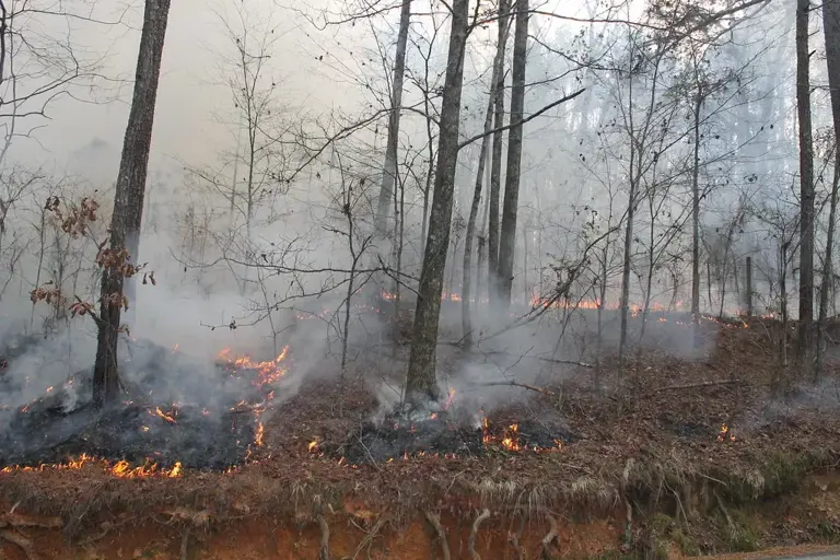 Maps reveal the parts of the US most vulnerable to future wildfires