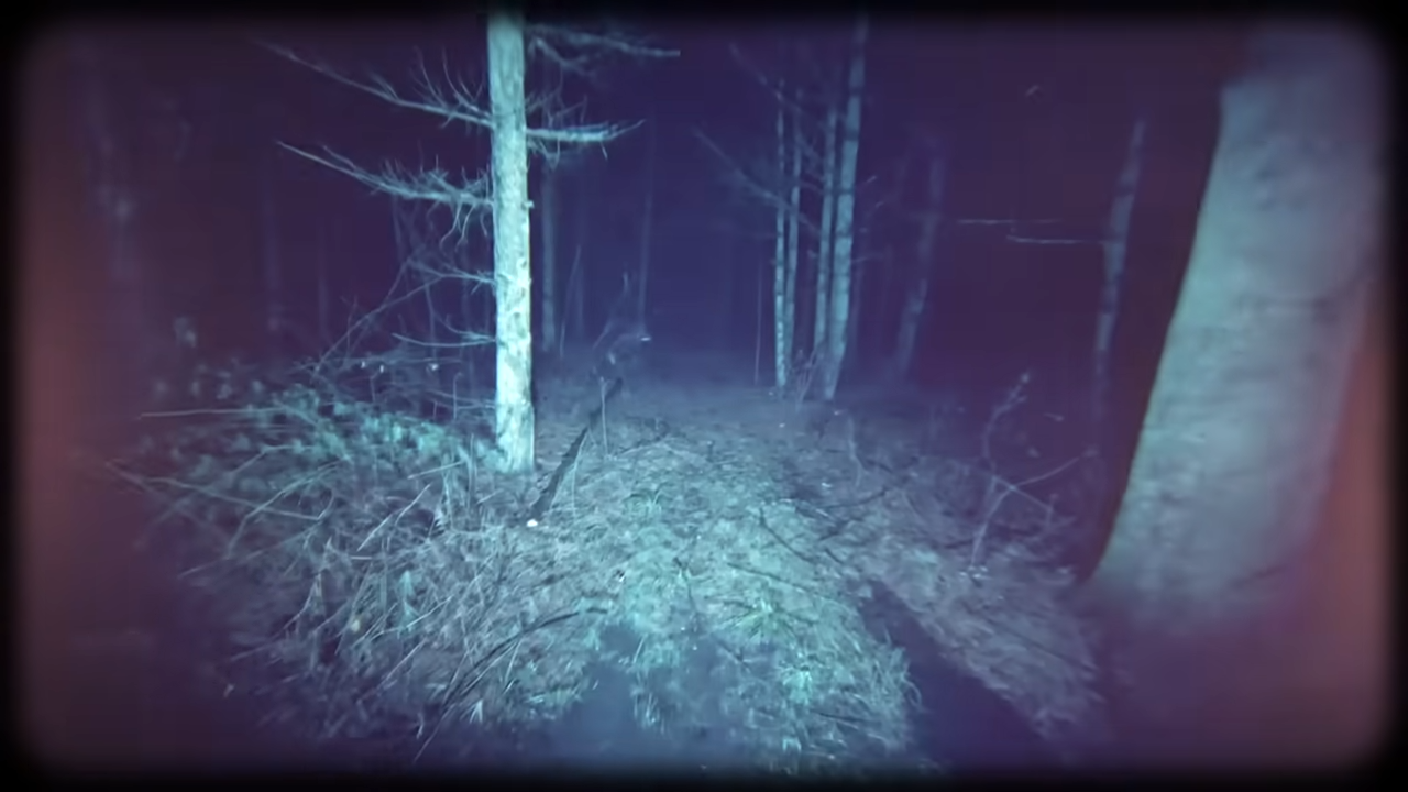 Something found him in the woods - but no camera was supposed to catch it