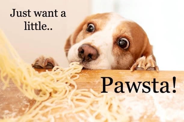 25 precious pupper pawsts for doggo parents who need more dogs in their ...