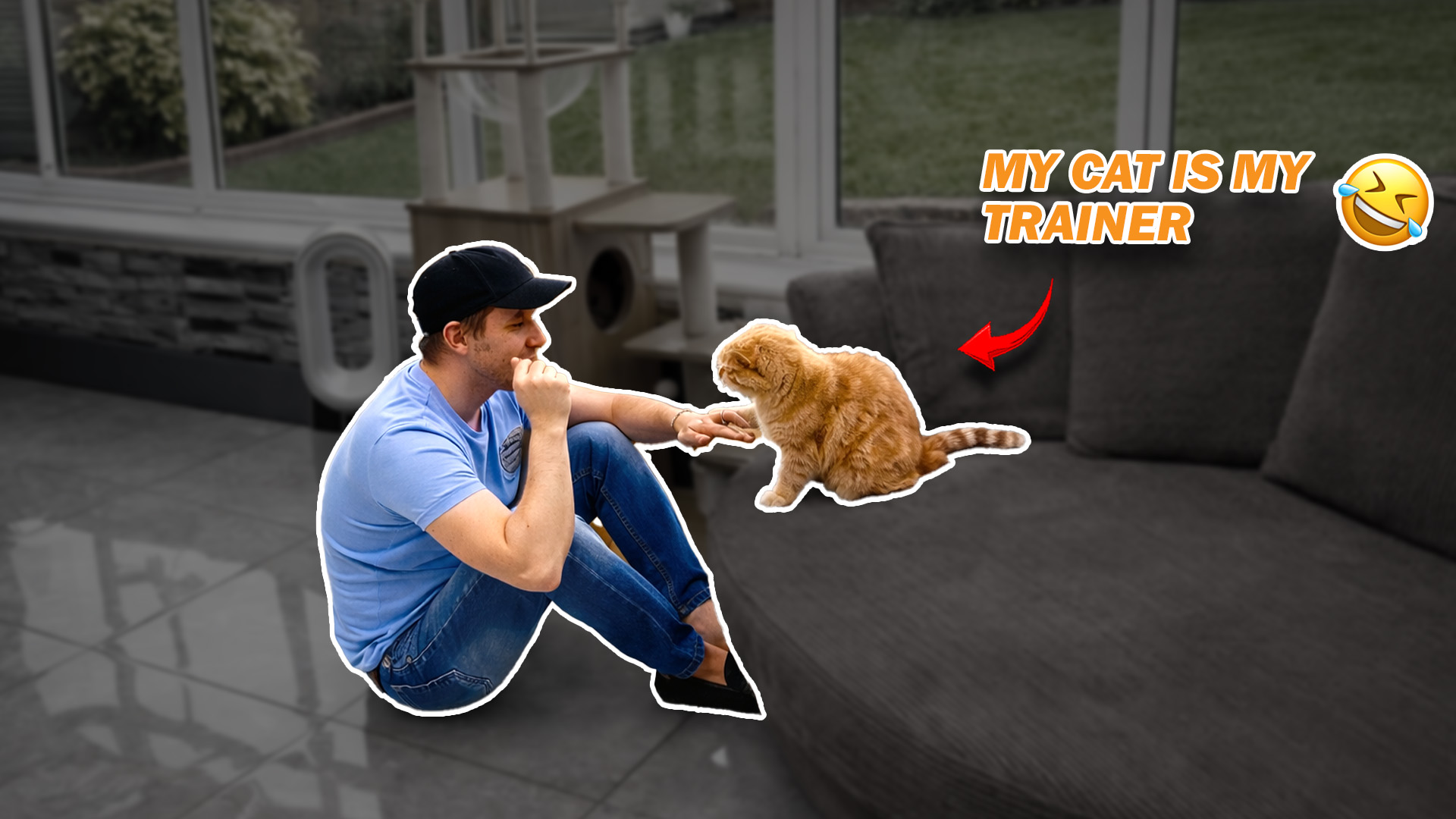 Funny cat moments highlights