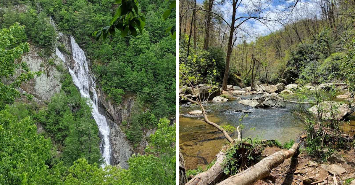 This Virginia gorge hides the state’s second tallest waterfall and an ...