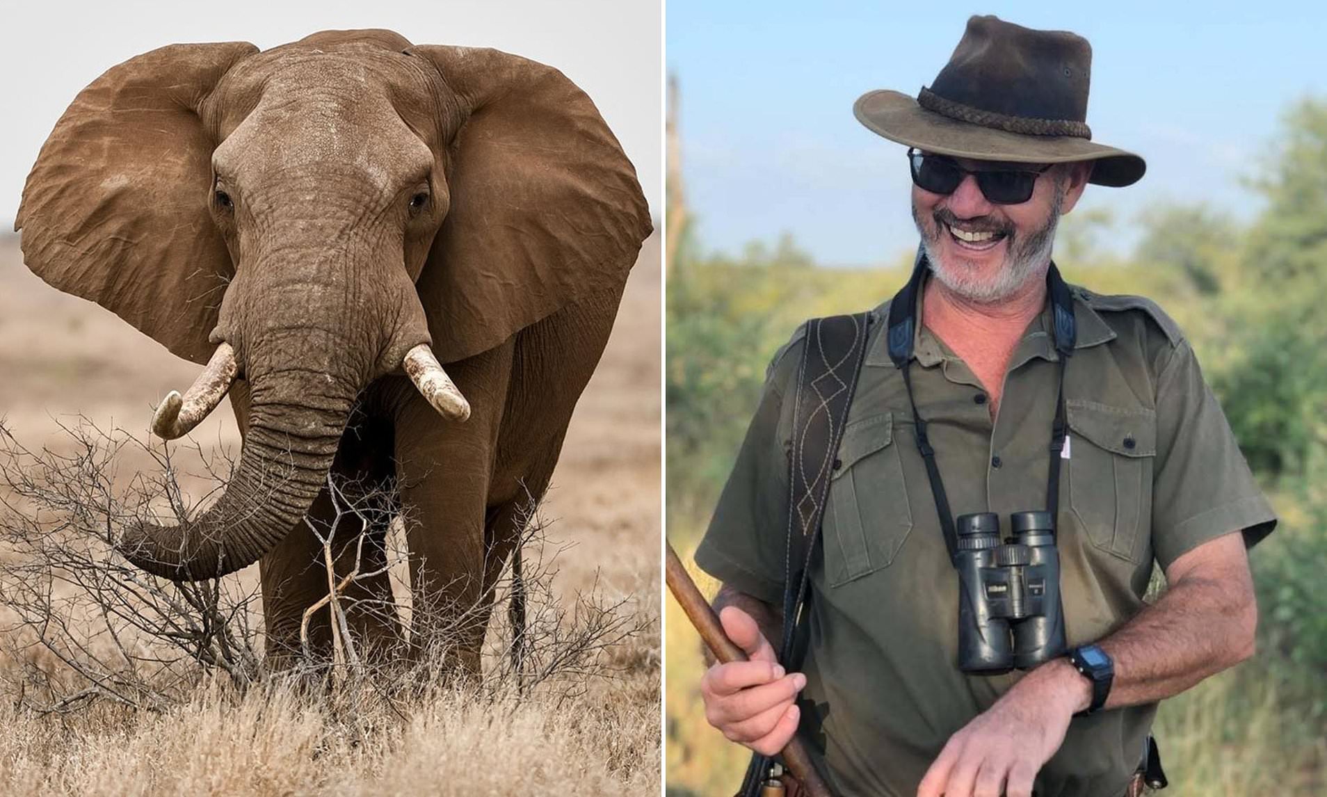 Conservationist who vowed never to shoot an elephant is killed by one