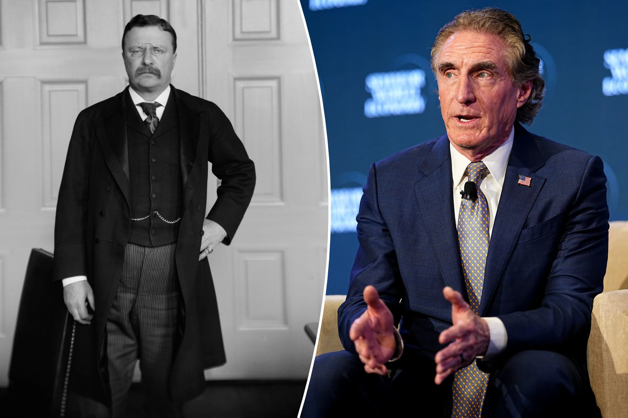 Senior Trump official pushing for Teddy Roosevelt’s induction into ...