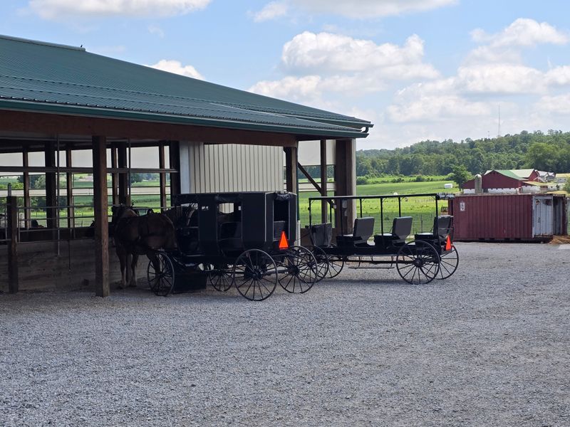 Amish food traditions travelers rarely experience in Ohio